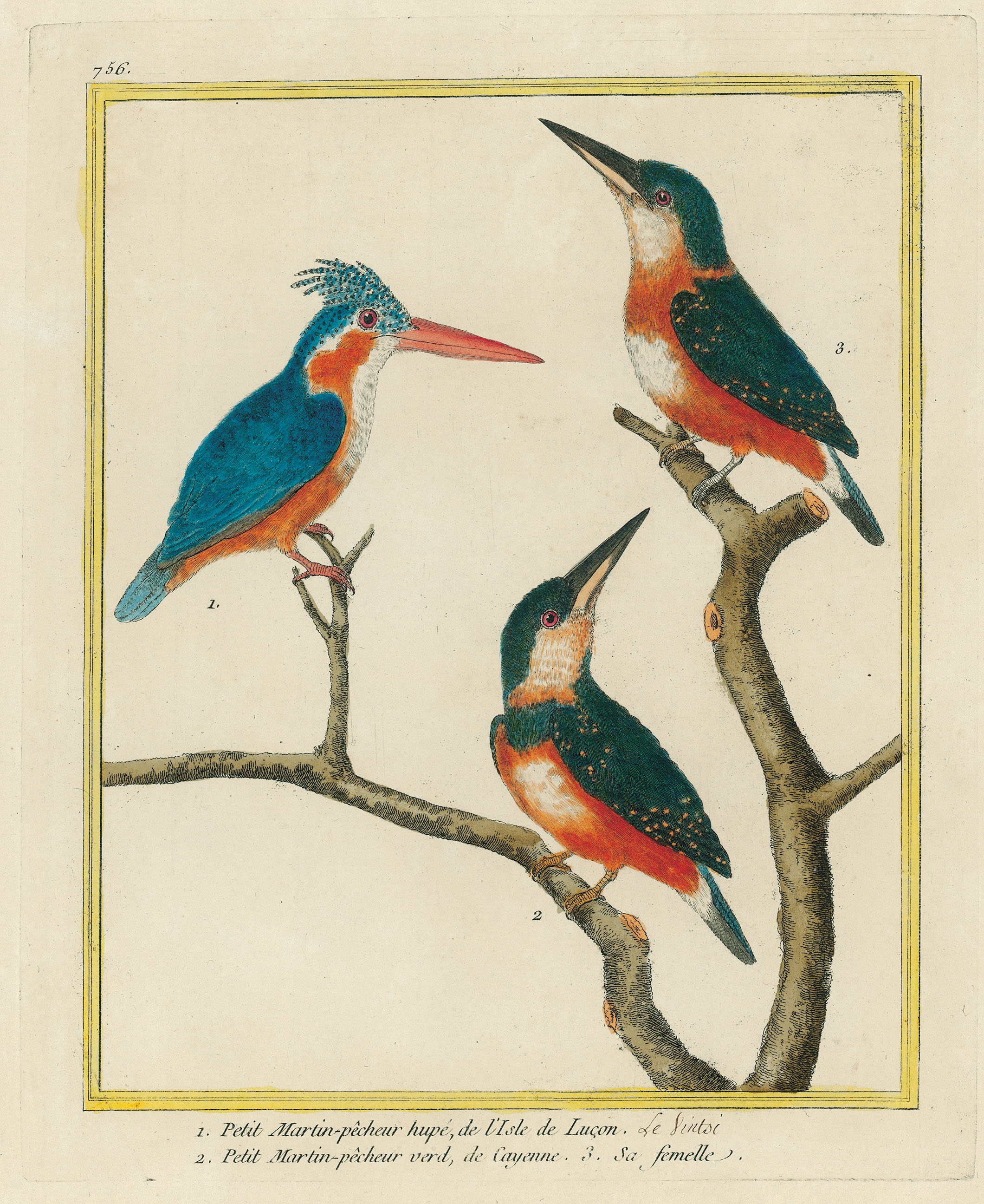 L'encyclopédie de Buffon - La Grande Forge de Buffon